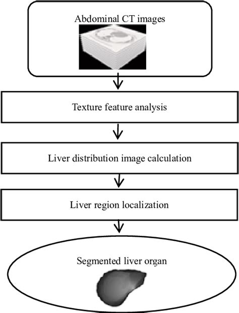 The Diagram Of The Proposed Automatic Liver Segmentation Download