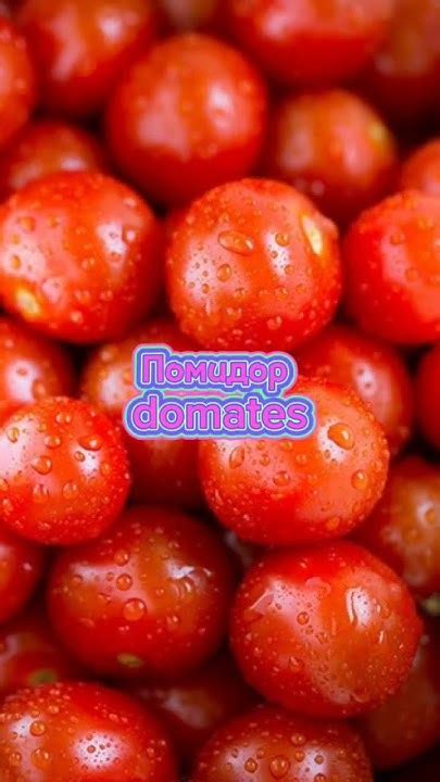 Турецкий язык для начинающих Овощи урок 3 турецкийязык Youtube