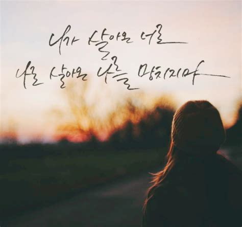 인스타 감성글귀 모음집 Best 네이버 블로그