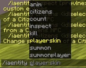 Itemsadder API Problem Issue 2932 PluginBugs Issues ItemsAdder GitHub