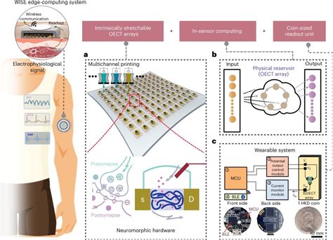 Stretchable Transistors Enable In Sensor Edge Computing In Wearable Technology