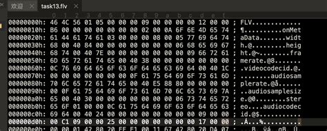 音视频 Flv格式解析flv 视频头 Csdn博客