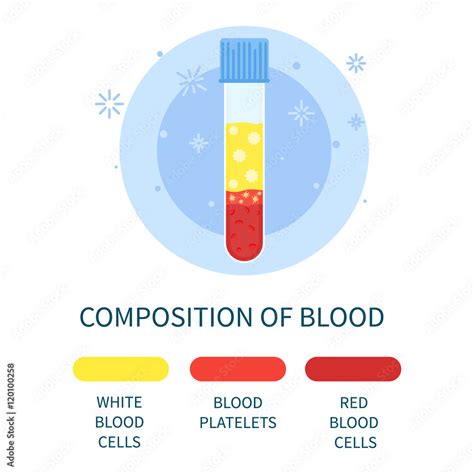 Composition Of Blood Blood Components In A Test Tube White Cells Red Cells And Platelets