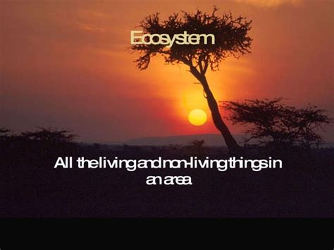 Ecosystems Notes 11 9 Pd6 Ppt