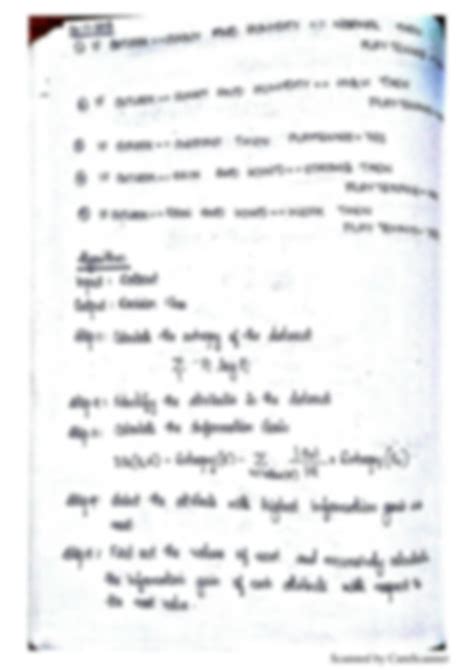 Solution Machine Learning Decision Tree Algorithm Studypool