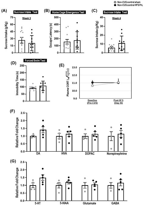 Prelimbic Cortical Stimulation Induces Antidepressant Like Responses
