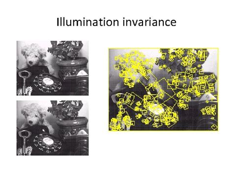 SIFT ScaleInvariant Feature Transform David Lowe Scalerotation Invariant