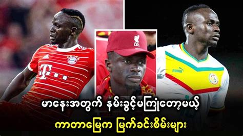 မာနေးကို နမ်းခွင့်မကြုံတော့မယ့် ကာတာမြေက မြက်ခင်းစိမ်းများ Youtube