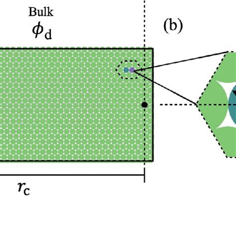 A Schematic Representation Of The Cluster With Three Color Coded