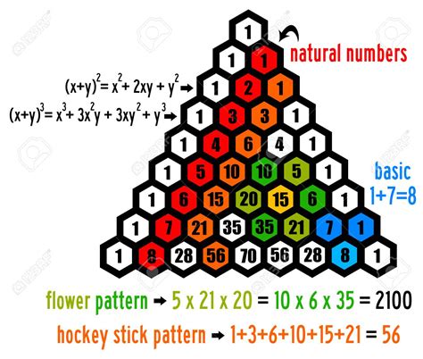 Binomial Expansion And Pascals Triangle 11th Grade Quiz Wayground
