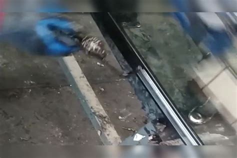 阿姨六十多岁了，这干活的速度也太熟练了！