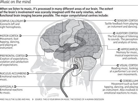 The Surprising Science Behind What Music Does To Our Brains Cleverism