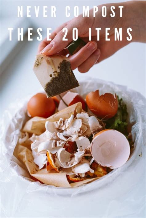 Non Compostable Items Turning The Clock Back