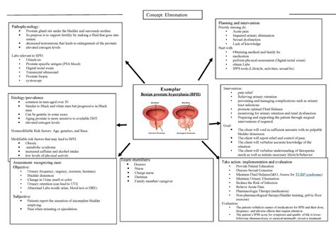 Bph Concept Map Etiologyprevalence Common In Men Aged Over 50