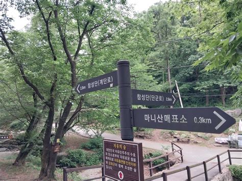마니산 단군로 2 9km 맨발 등정기 오마이뉴스