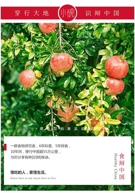 荔枝正当季,警惕 荔枝病”!记住4点安心吃!孩子血糖葡萄糖 荔枝正当季,警惕 荔枝病”!记住4点安心吃!孩子血糖葡萄糖