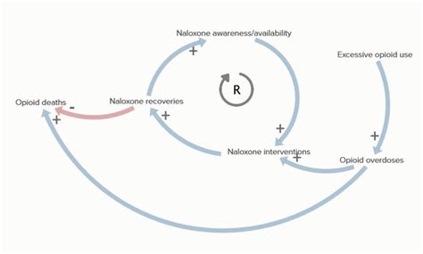 An Introduction To Systems Mapping