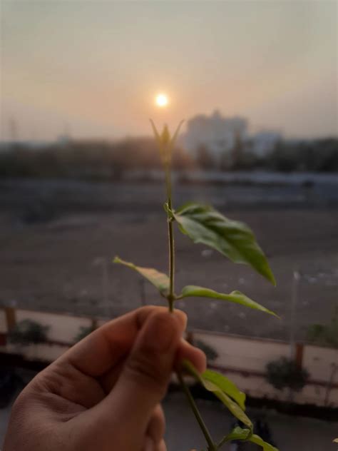 Sanidhya Ojha On Linkedin Jeemains Jeeadvanced Iitd Newyear