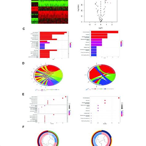 Differential Expression Analysis And Gene Enrichment Analysis A Heat