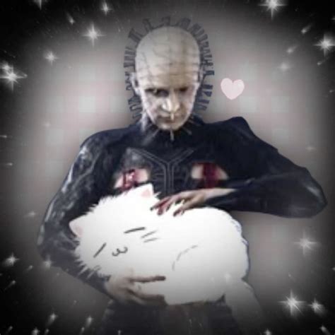 Hellraiser Pinhead Kitty Pfp In 2025 Scary Movie Characters