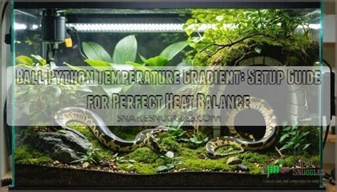 Ball Python Humidity Levels Explained Complete Care Guide 2025