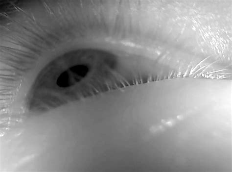 6 Eye Images From The Two Publicly Available Datasets Download