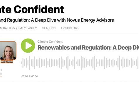 Renewables And Regulation A Deep Dive With Novus Energy Advisors