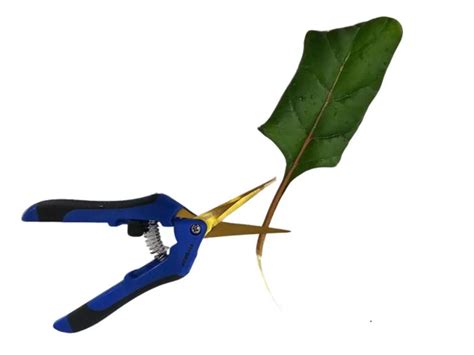Small Pruning Scissors Growmesh