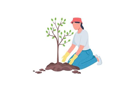 Woman Planting Tree Flat Color Vector Faceless Character Professional Gardener Sapling And