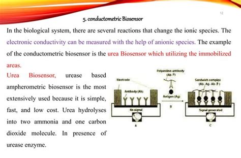 3 Introduction About The Biosensors Pptx