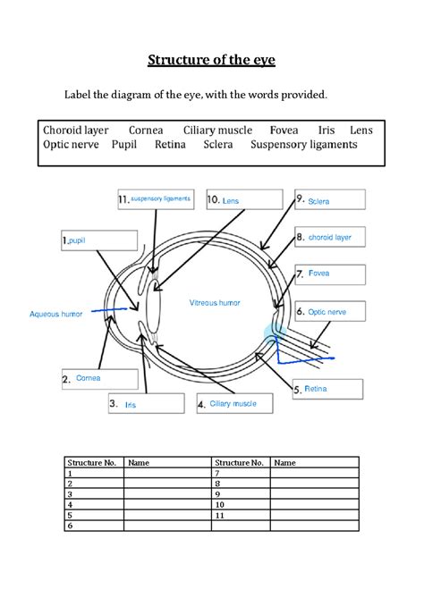 Copy Of Structure Of The Eye Worksheet A Structure Of The Eye Label