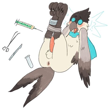 Rule 34 2024 4 Toes Ankleband Anthro Anus Avian Balls Beak Bird Black