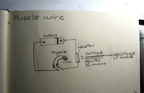 How To Get Muscle Wire To Bend Frequently Asked Questions Arduino How To Get Muscle Wire To Bend Frequently Asked Questions Arduino