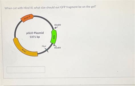Solved You Need To Make ML Of A M Stock Solution Of Chegg Com