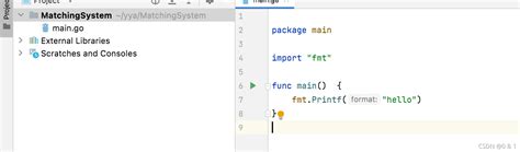 【golang】运行main函数golang Main Csdn博客