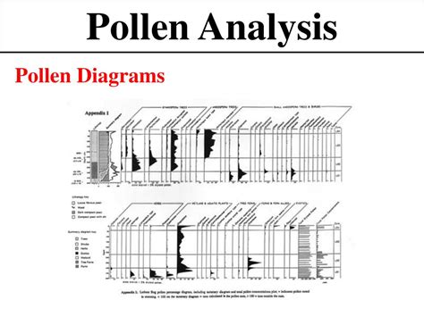 ppt pollen analysis powerpoint presentation free download id 330415