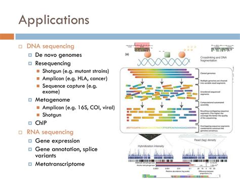 Ppt Next Generation Sequencing Of Microbial Genomes And Metagenomes