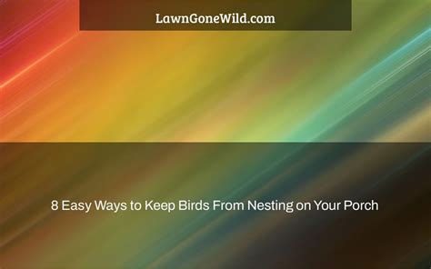 8 Easy Ways To Keep Birds From Nesting On Your Porch Lawn Gone Wild