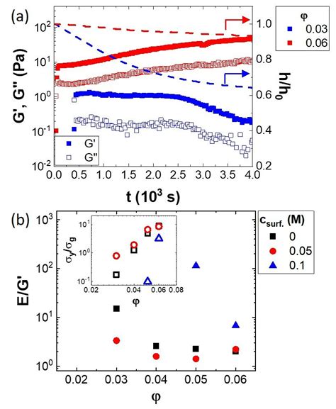 A Time Evolution Of Viscoelasticity Ageing After Rejuvenation Of