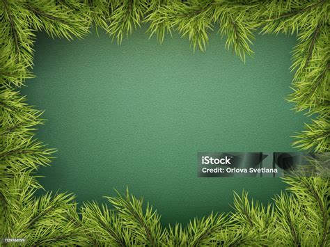 크리스마스 트리 테두리 녹색 배경 현실적인 전나무트리 분기 프레임 카드 Eps 10 0명에 대한 스톡 벡터 아트 및 기타 이미지 0명 12월 1월 Istock