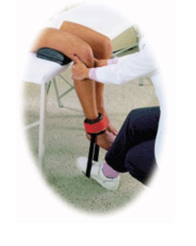 Joint Mobilization Le Flashcards Quizlet