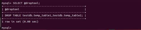 MySQL DROP TABLE Statement Examples Options