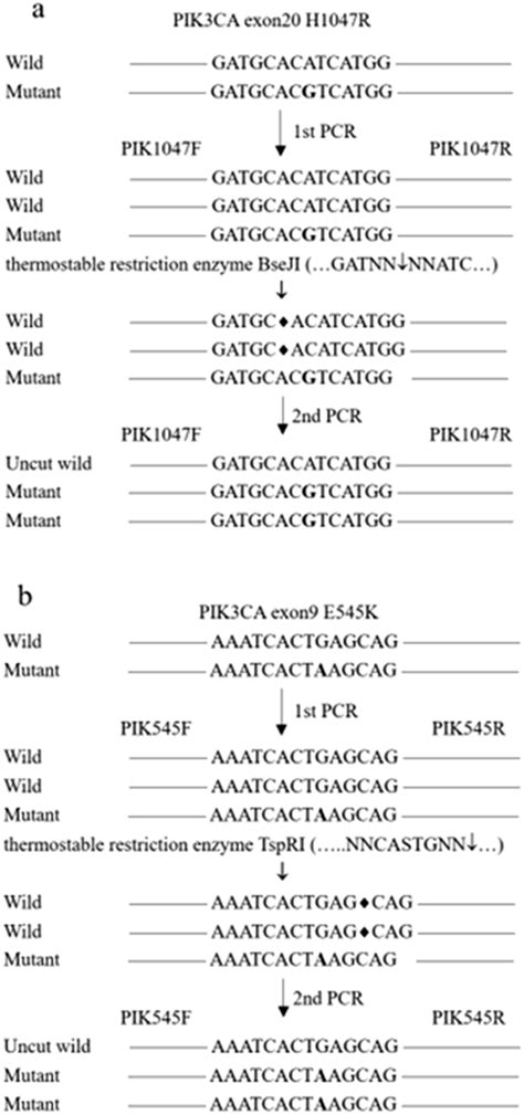The Schematic Of The Mutant Enriched Sequencing Methods For Detecting