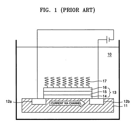 Biomolecule Sensing Method Using Field Effect Transistor With