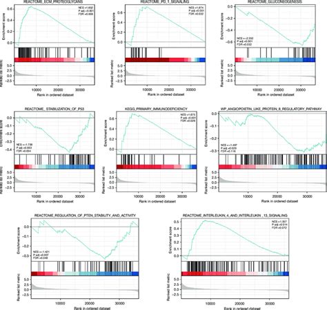 Eight Statistically Significant Putative Significant Pathways The