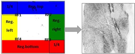 The Sample Of The Roi Palmprint A Four Regions B Roi Download Scientific Diagram