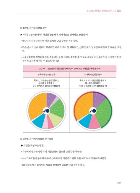 2020 한국인 영양소 섭취기준 식품구성자전거 네이버 블로그