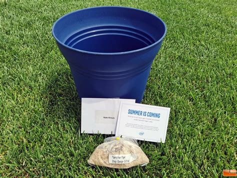 Intel S Tiger Lake Roars Th Gen Nm Mobility Lineup Headed For Summer Launch