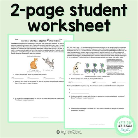 Ngss Aligned Sex Linked Cat Genetic Inheritance Patterns Worksheet