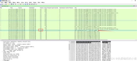 buuctf流量分析题 csdn博客